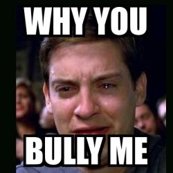 Meme Crying Peter Parker Why You Bully Me 32184182