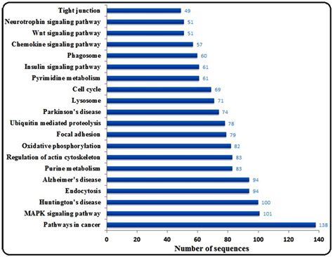 Kegg Orthology Classification Of Unigenes Kegg Gene Function Was