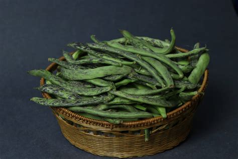 Bean Food Factory