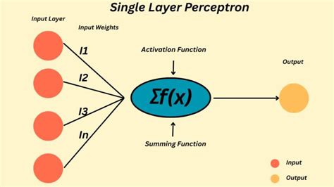 what is single layer perceptron neural network architecture
