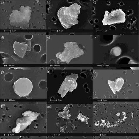 Sem Photomicrographs Of Airborne Particles Sampled On The Polycarbonate Download Scientific