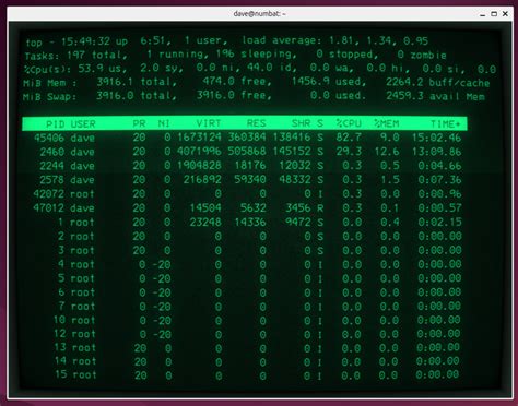 Why Is It Called A Terminal Emulator