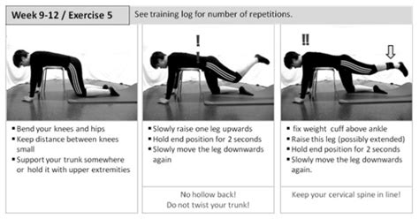 Exercises Open Chain Exercises