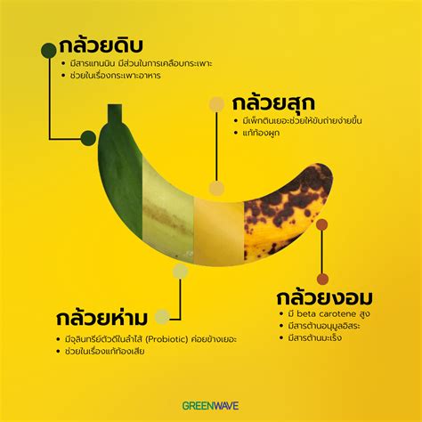 เรื่องกล้วย ๆ กับประโยชน์ของกล้วย 4 สี