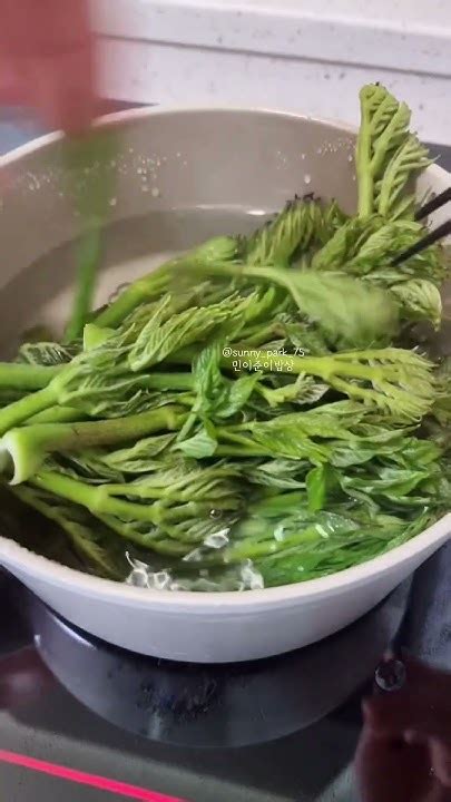 두릅요리 두릅 참두릅 봄요리 두릅손질 봄나물 밑반찬 밑반찬만들기 두릅숙회 홈쿡 밥반찬 요리동영상