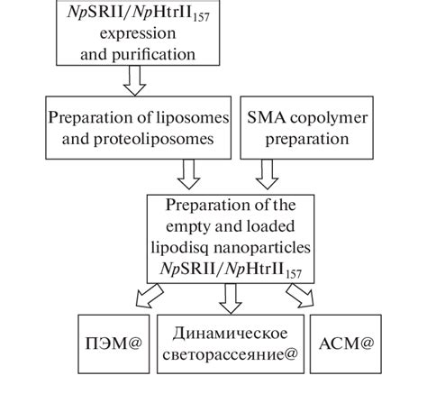The General Scheme Of The Experiments Download Scientific Diagram