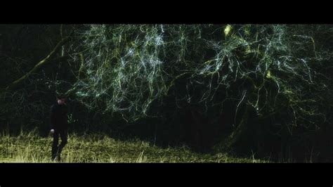 Tf03 Tinkerbell Edit Youtube