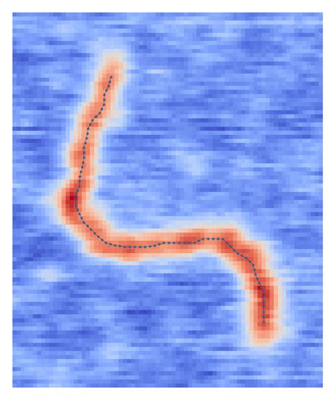 Python Numpy How To Find All Pixels Within A Certain Distance Of A