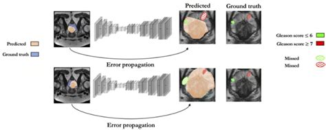 Figure 2 From Reconsidering Evaluation Practices In Modular Systems On The Propagation Of