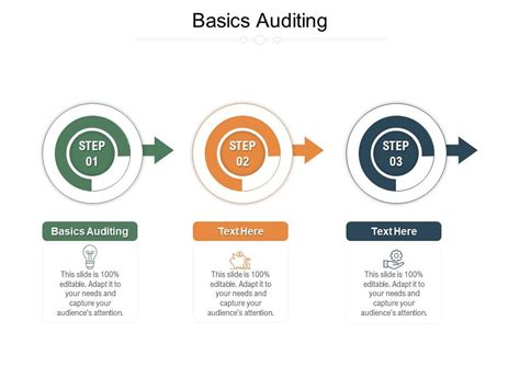 Basics Auditing Ppt Powerpoint Presentation Model Icons Cpb