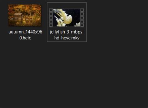 How To Open HEIC HEIF And HEVC Files On Windows For Free Beebom