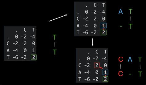 Building Dna Sequence Alignment With Needleman Wunsch Algorithm From Scratch A Note To My Self