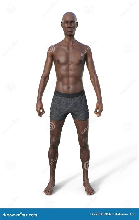 A 3d Illustration Of A Male Body With Ectomorph Body Type Stock Illustration Illustration Of
