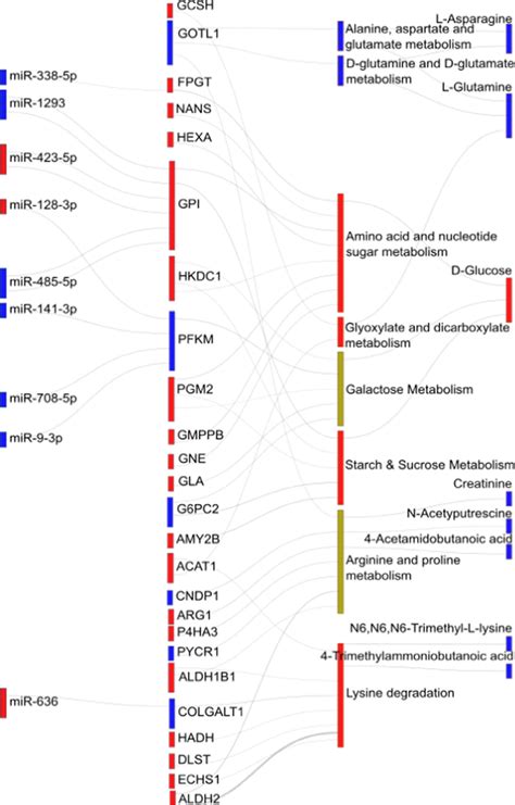 Sankey Plot Highlighting Interactions Between Differentially Expressed