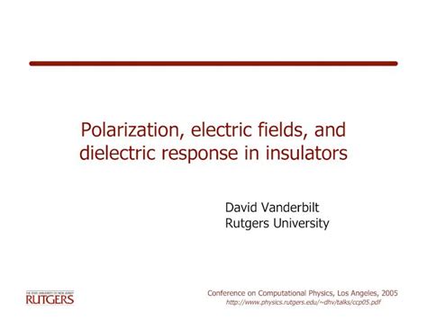 Pdf Polarization Integration Dokumentips