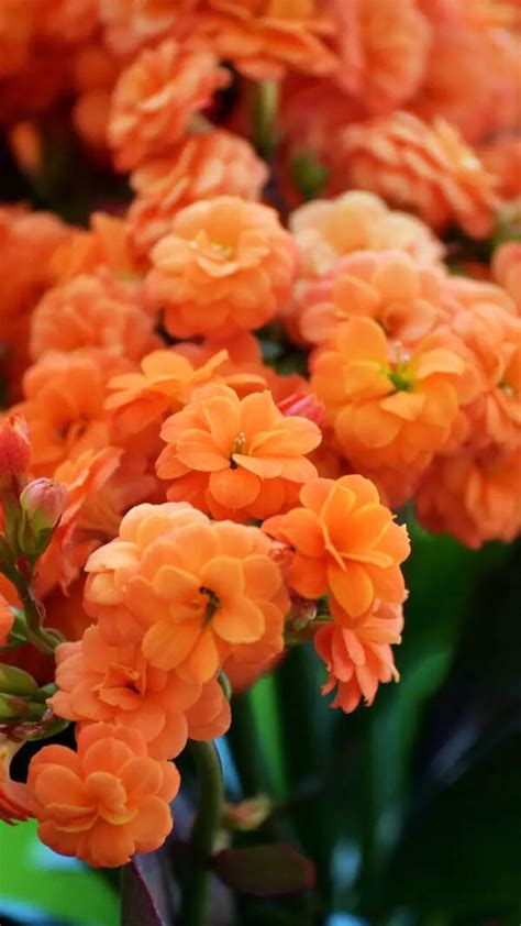 Natural Language Processing 11 Real Life Examples Of Nlp In Action Times Of India