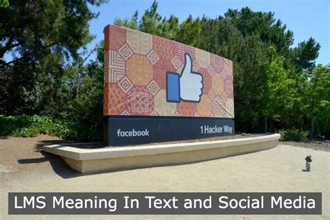 Lms Meaning In Text And Social Media “let Me See” Or “like My Status”