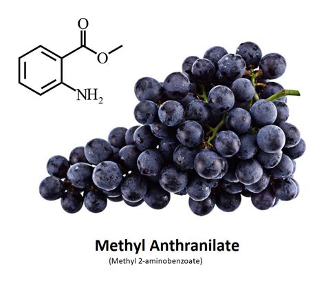 Methyl Anthranilate