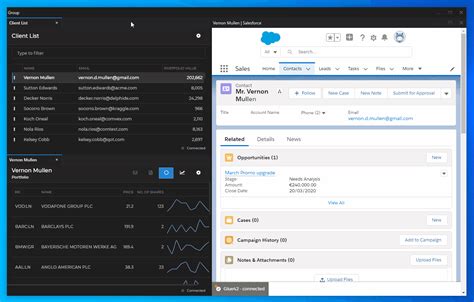 Application Adapters Documentation Salesforce Overview Application Adapters Documentation Salesforce Overview