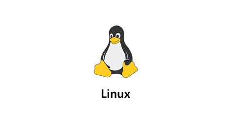 Linux Centos Nic 추가