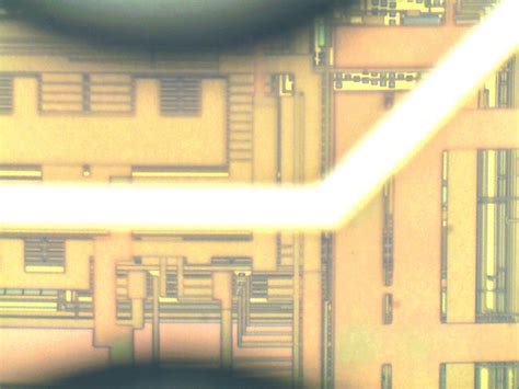 Johann Glaser LPC WL CSP Images