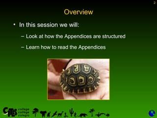 Using Appendices PPT