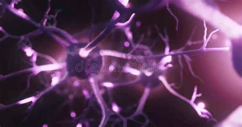 Neurons and Brain Connections 3D Render. Stock Video - Video of ...