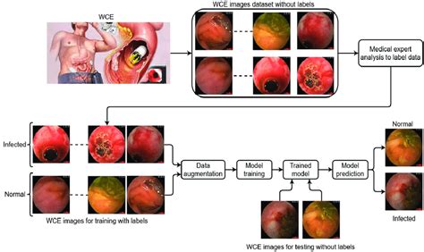 Wce Images Classification Approach Download Scientific Diagram