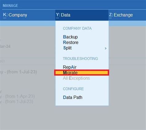 Efficient Data Management Strategies In Tally Prime