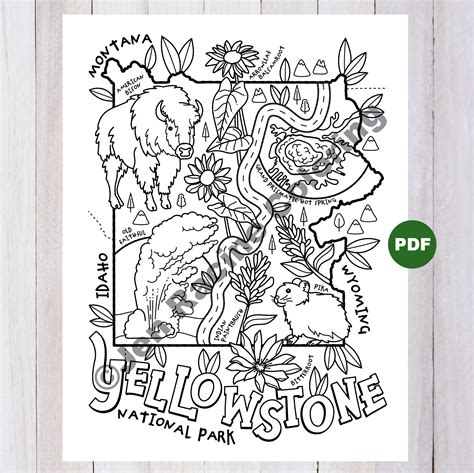 Yellowstone National Park Coloring Page Etsy