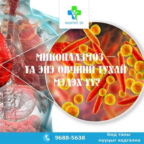 Бишрэлт МИКОПЛАЗМОЗ ТА ЭНЭ ӨВЧНИЙ ТУХАЙ МЭДЭХ ҮҮ Микоплазм нь маш