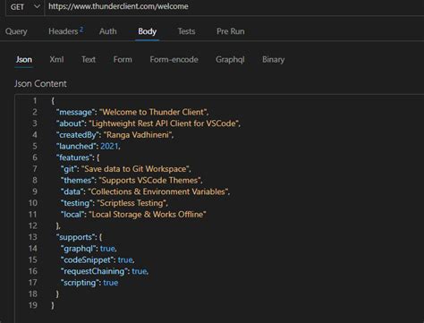 Offet Inside The Vscode Thunderclient Tab · Issue 1075 · Thunderclientthunder Client Support