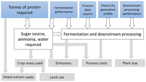 Schematic Of Model Calculation Methodology User Inputs Shown In Blue