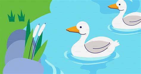 호수 위에 떠 있는 오리 두 마리 벡터 Unsplash의 오리 이미지