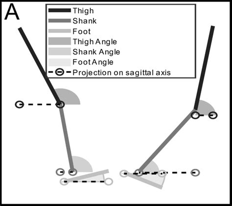 Figures Figure 1 Range Of Motion Of Segmental Angles In Healthy