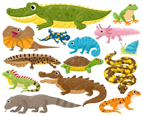 Reptiles Y Anfibios Dibujos Animados De Rana Camaleón Cocodrilo