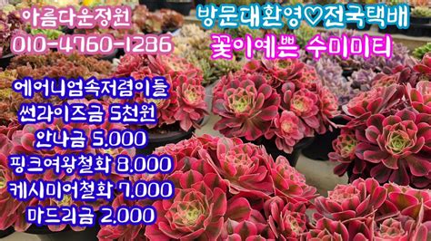 아름다운정원1탄에어니옴속대품신상 특가세일도 찾아보세요5만원이상 선물도증정 ♡마리아느금♡뭇별금♡아데나금♡니카철화금♡썬라이즈금♡홍동백금♡달빛금♡축룡금~~ Youtube
