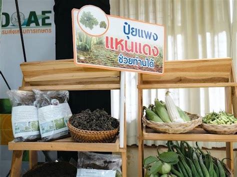 เกษตรฯ หนุนใช้ “แหนแดง” สารพัดประโยชน์ด้านเกษตร สถานีวิทยุกระจายเสียง