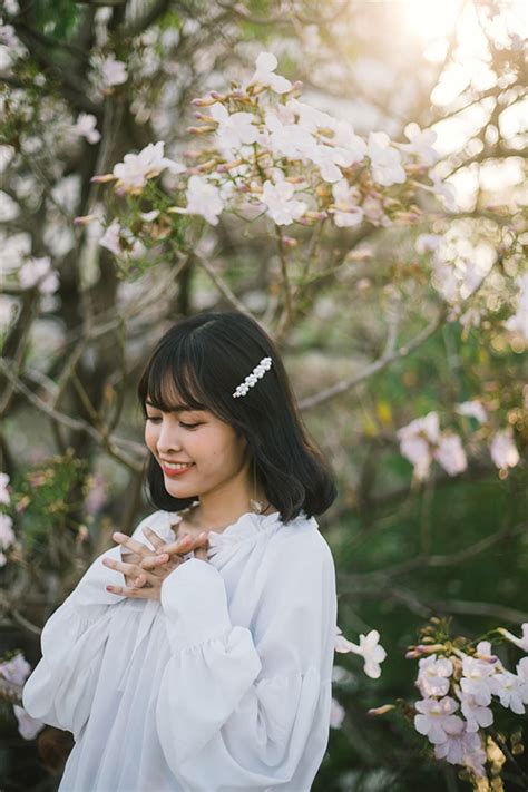 ชมพูพันธุ์ทิพย์ รวมสถานที่ชมความงามของดอกชมพูพันธุ์ทิพย์ ปี 2565