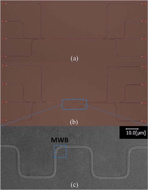 Microscopic View Of The Fabricated Silicon Multimode Bends With Four Download Scientific