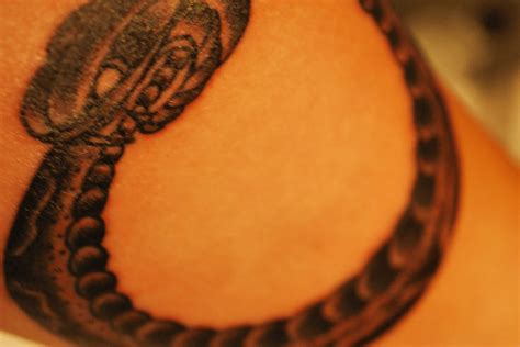 Ouroboros Symbol Cycle Of Life And Eternity