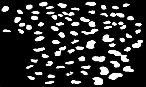 Figure 52 From Object Counting And Density Calculation Using Matlab