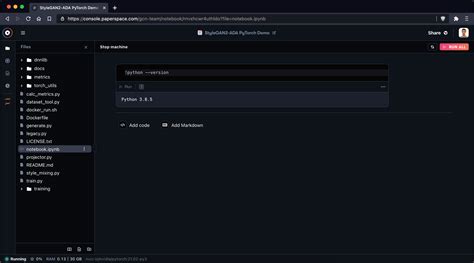 how to run stylegan2 ada pytorch paperspace blog