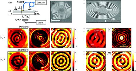 Orbital Angular Momentum In Nanoplasmonic Vortices Acs Photonics