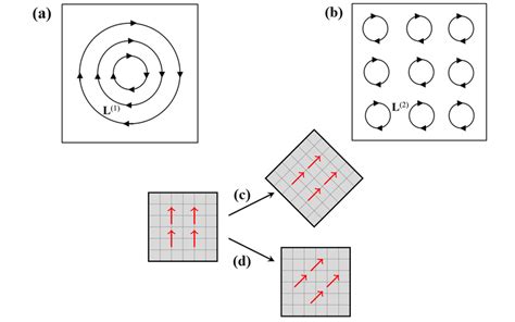 Orbital And Spin Angular Momentum Of Phonons A And B Distinguish Download Scientific