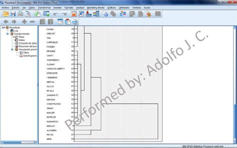 Hierarchical Clusters Statistical Analysis Analysis Cluster