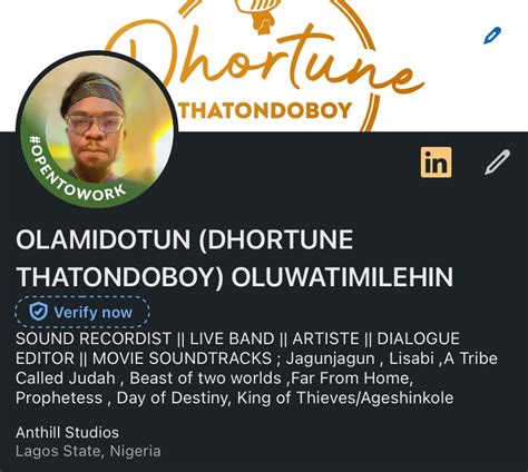 Join Me On Linkedin Inolamidotun