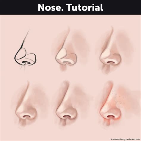 Nose Tutorial By Anastasia Berry On DeviantArt