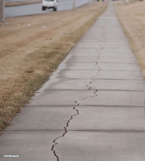 Types Of Bridge Crack Detection Object Detection Dataset By Guna