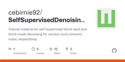 selfsuperviseddenoising tutorials tutorial1 blindspotnetwork ipynb at